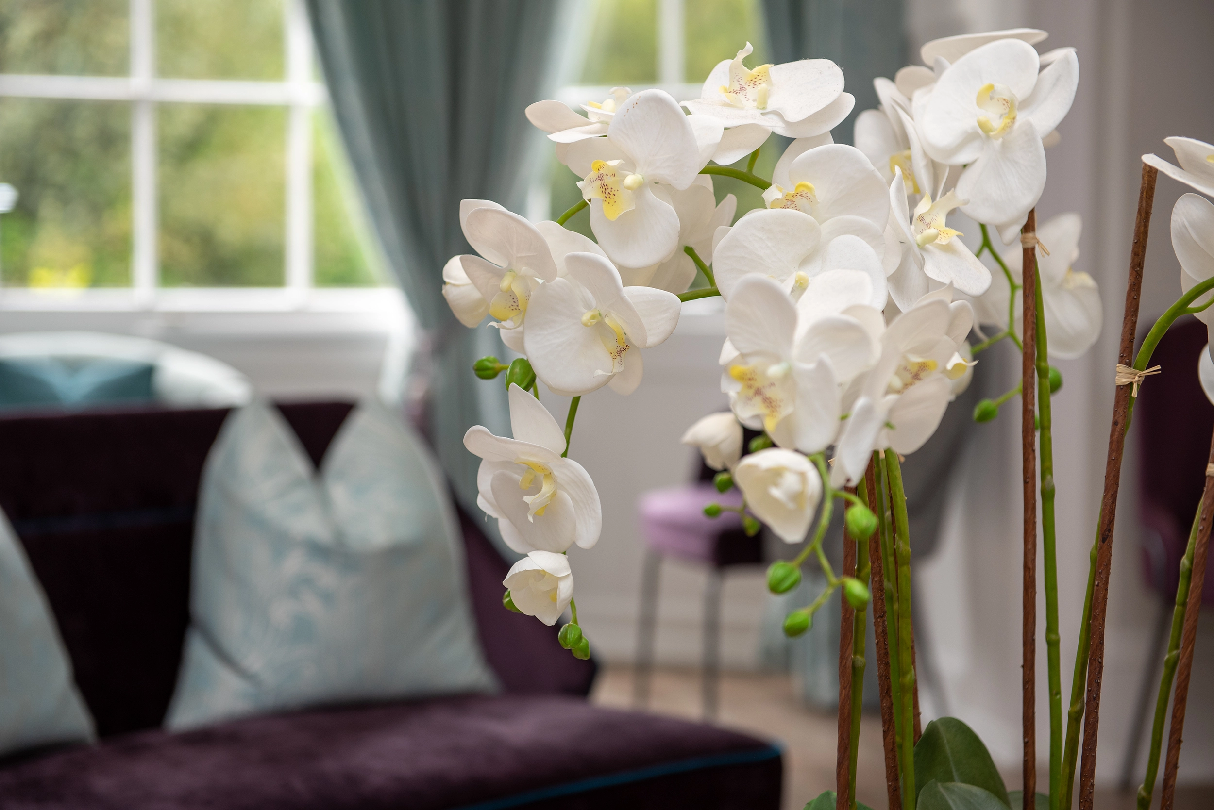 Medial Branch Block / Facet Joint Injection - The Specialist Pain Centre